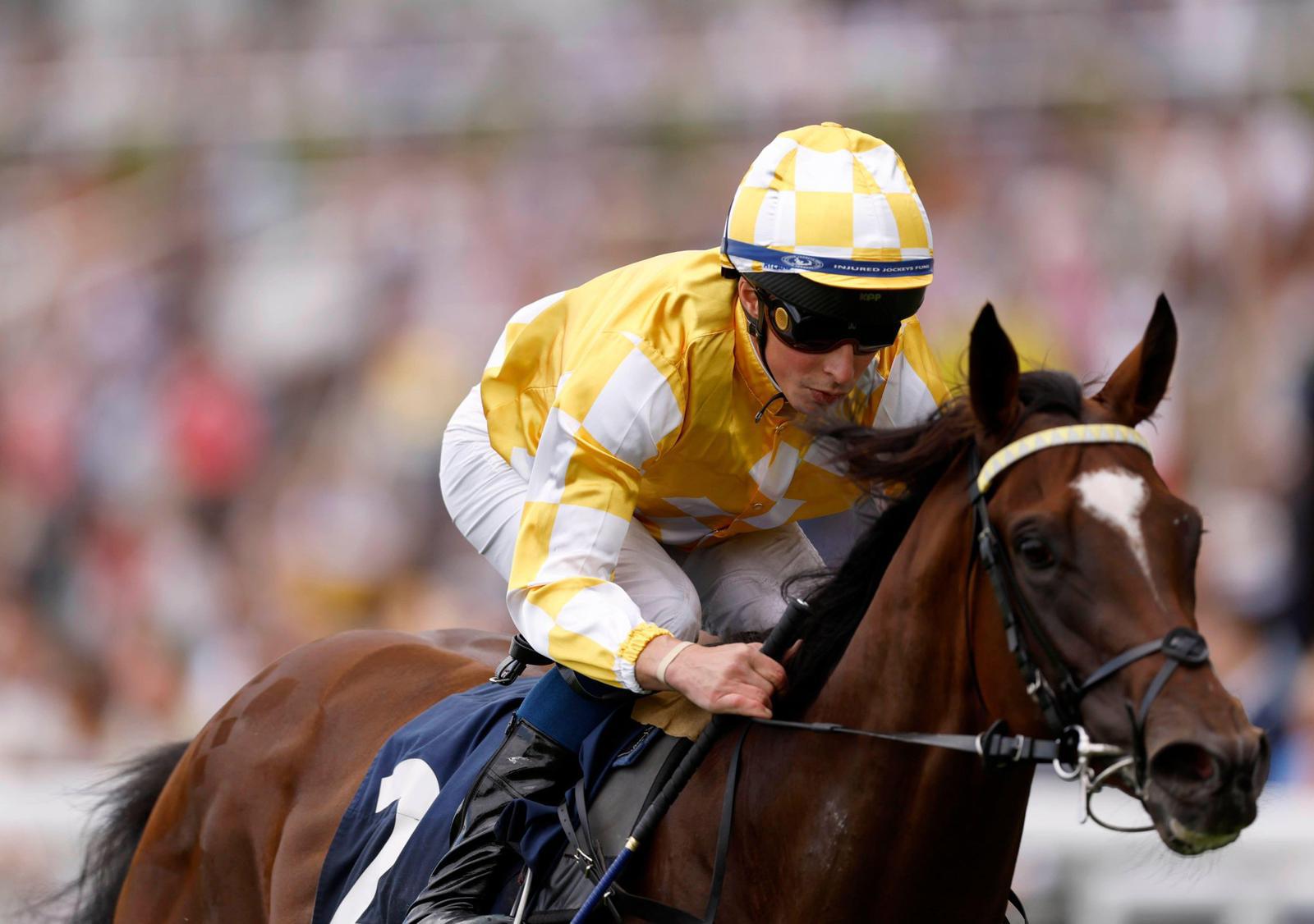 HOO YA MAL – Winner – G3 William Hill March – GoBloodStock