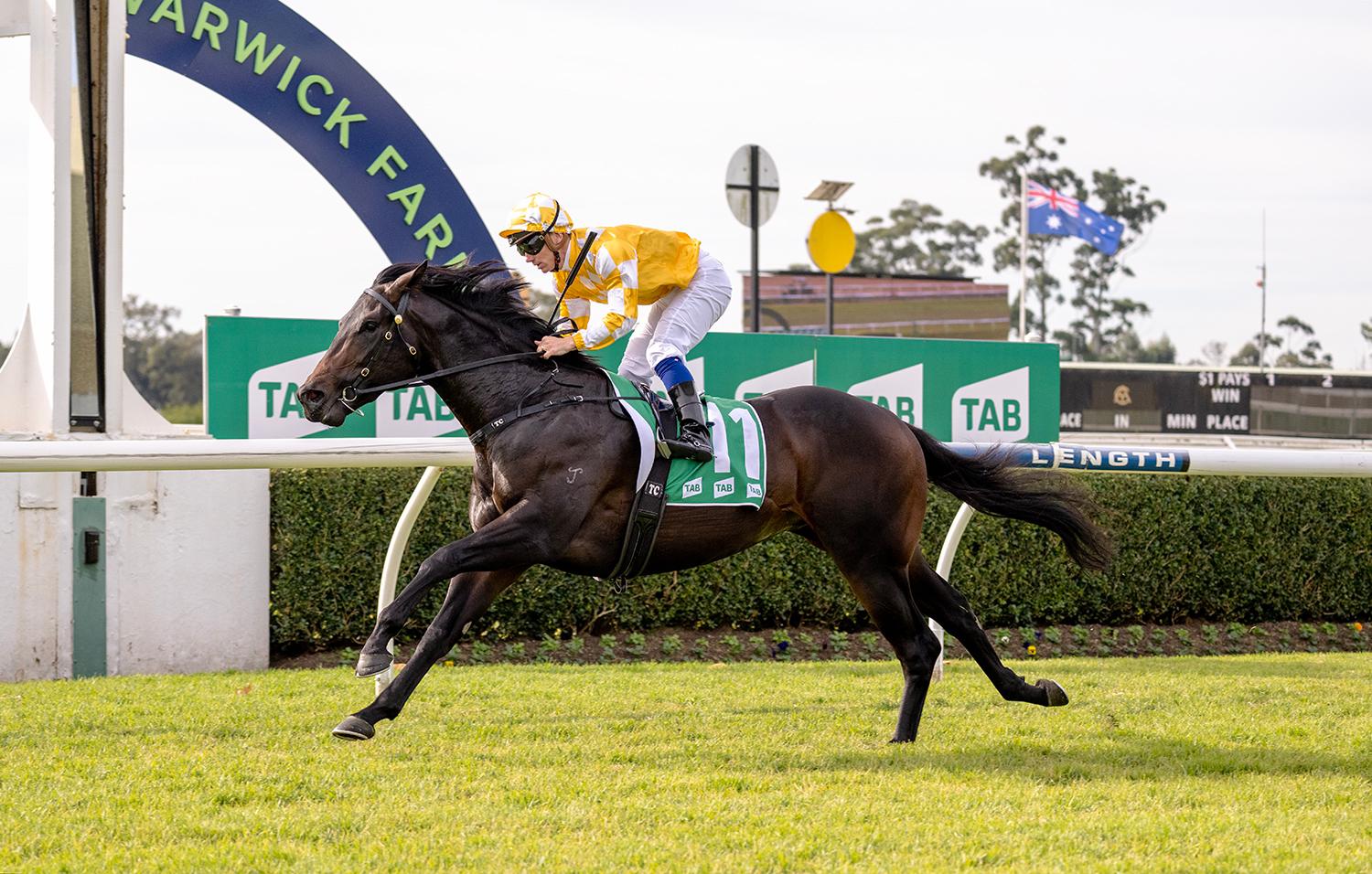 Bullseye for Piercing Arrow on Debut – $1 Million I Am Invincible colt ...