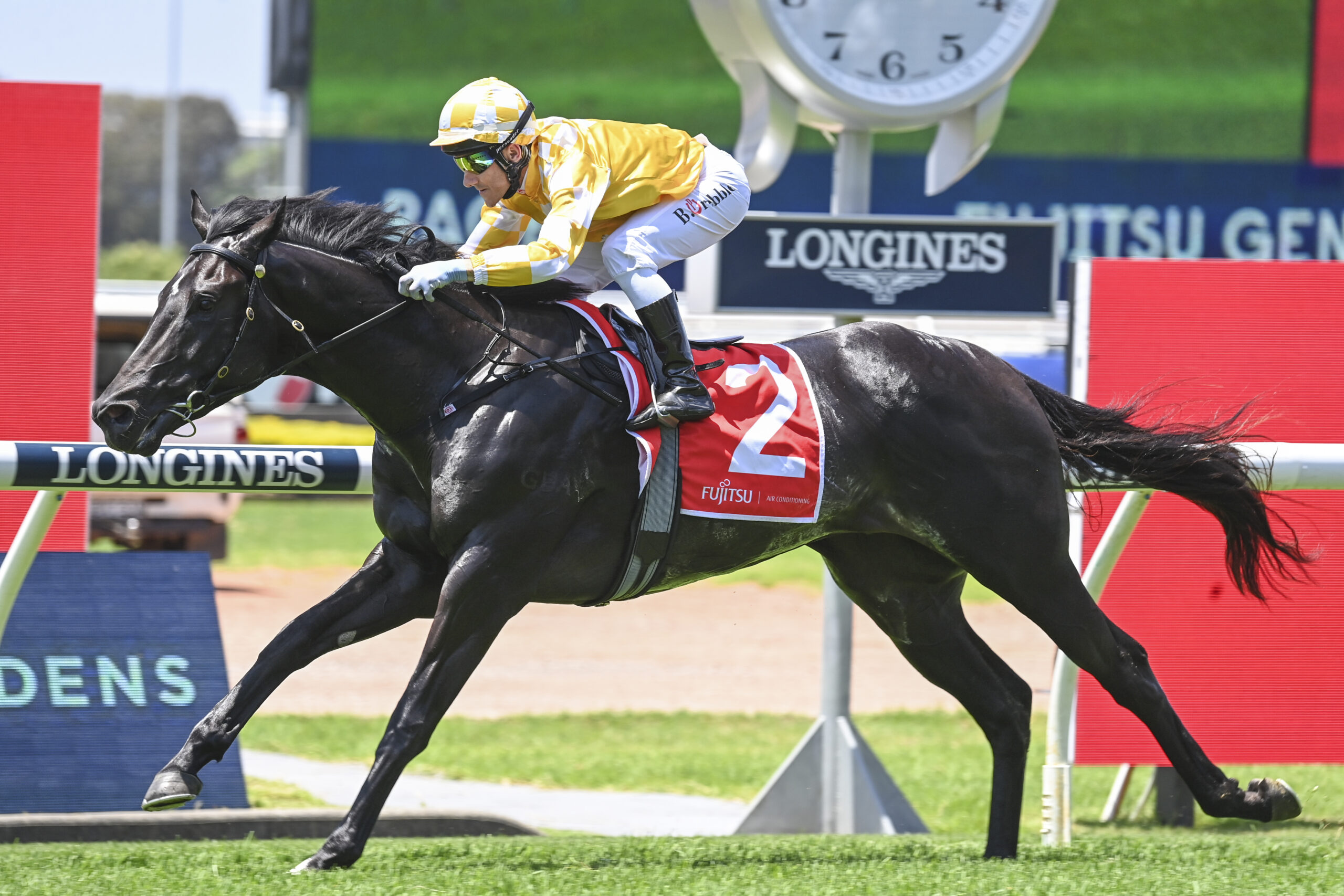 Go Bloodstock colt RED RESISTANCE to stand at Telemon Stud – GoBloodStock